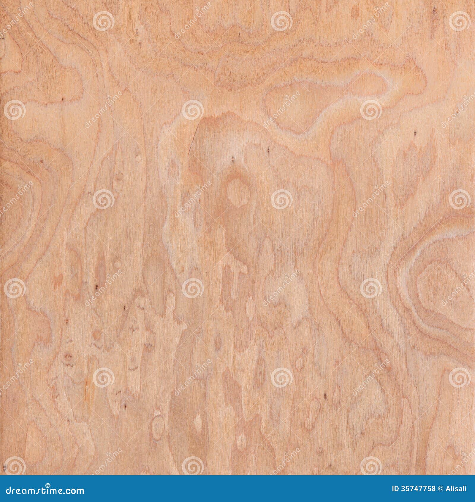 Texture of Root, Wood Texture Stock Photo - Image of material ...
