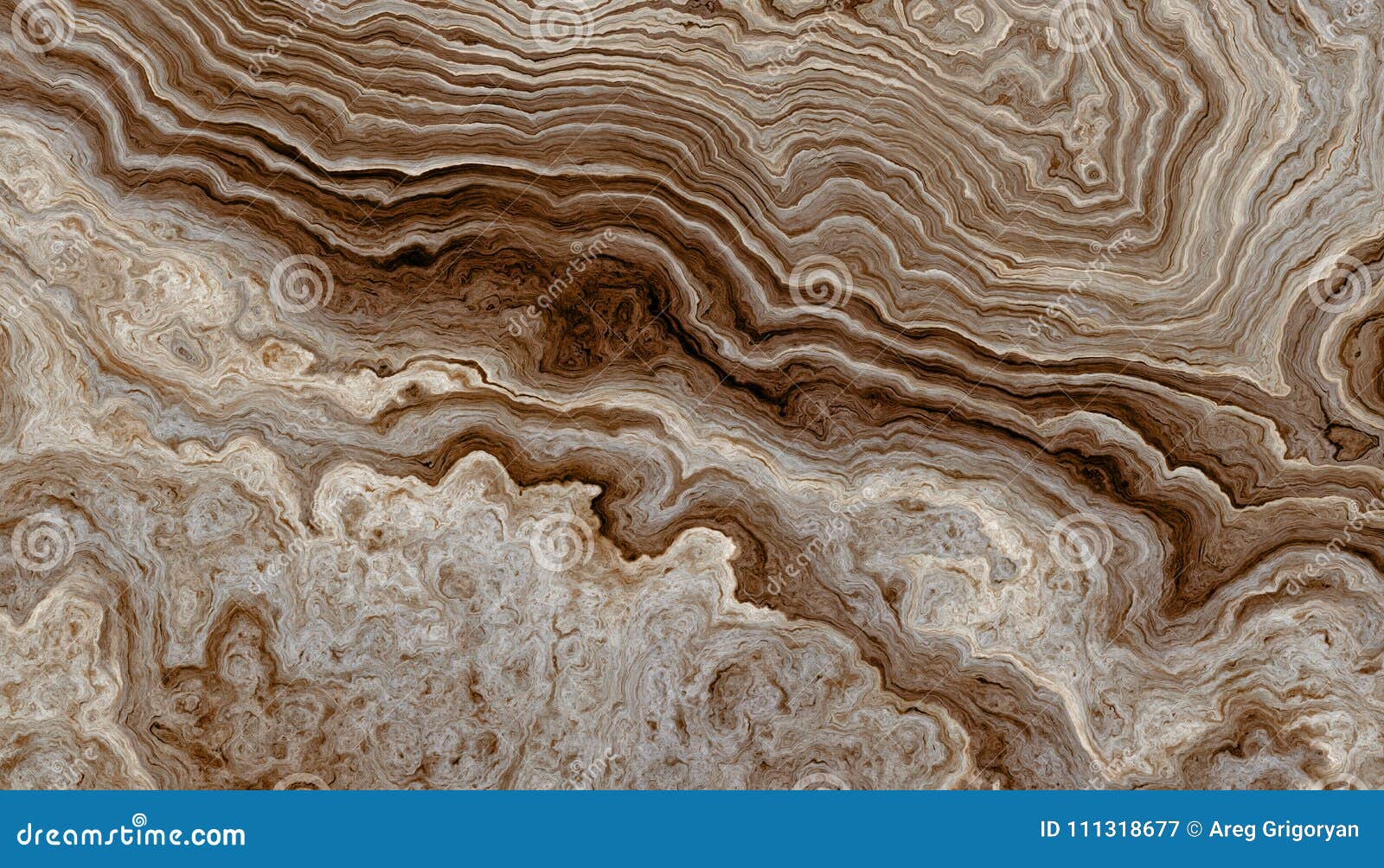 Tree Roots Background With Wavy Rings Royalty-Free Stock Photography ...