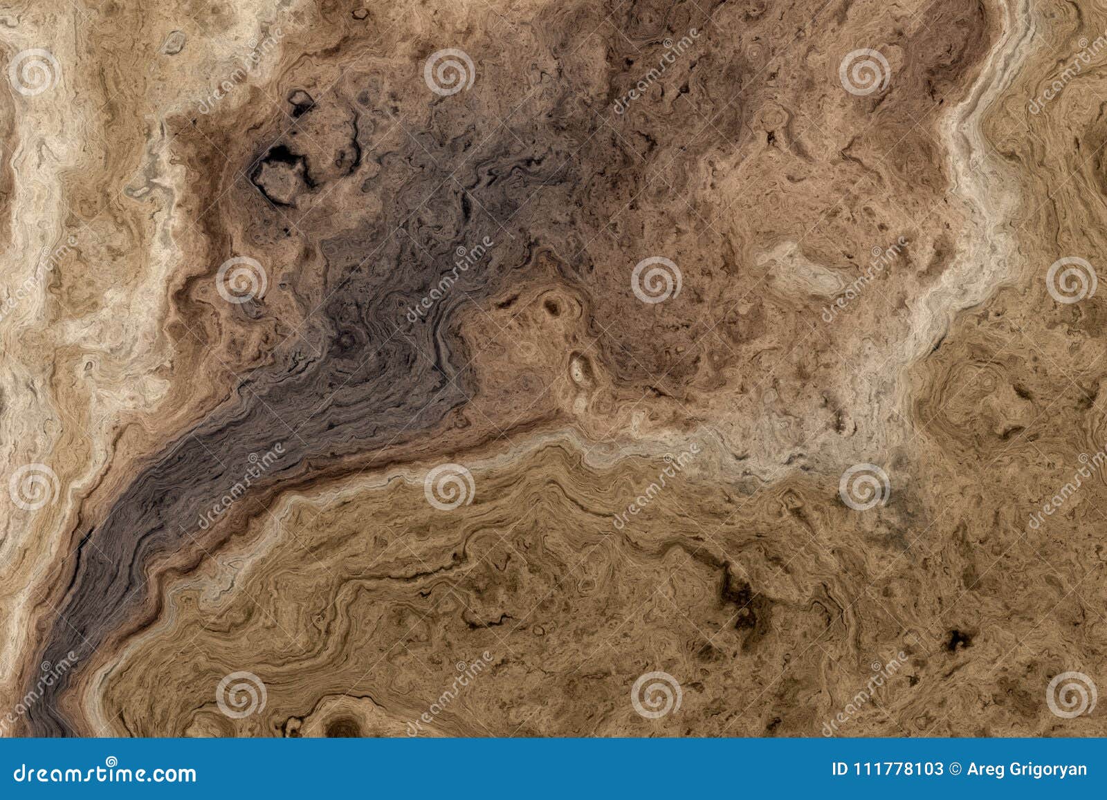 Tree Roots Background with Wavy Rings Stock Illustration - Illustration ...