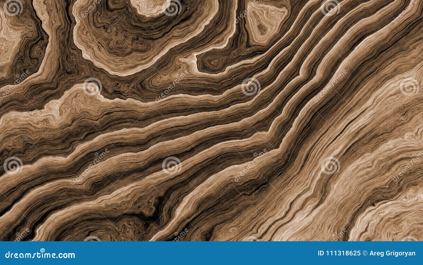 Tree Roots Background with Wavy Rings Stock Illustration - Illustration ...