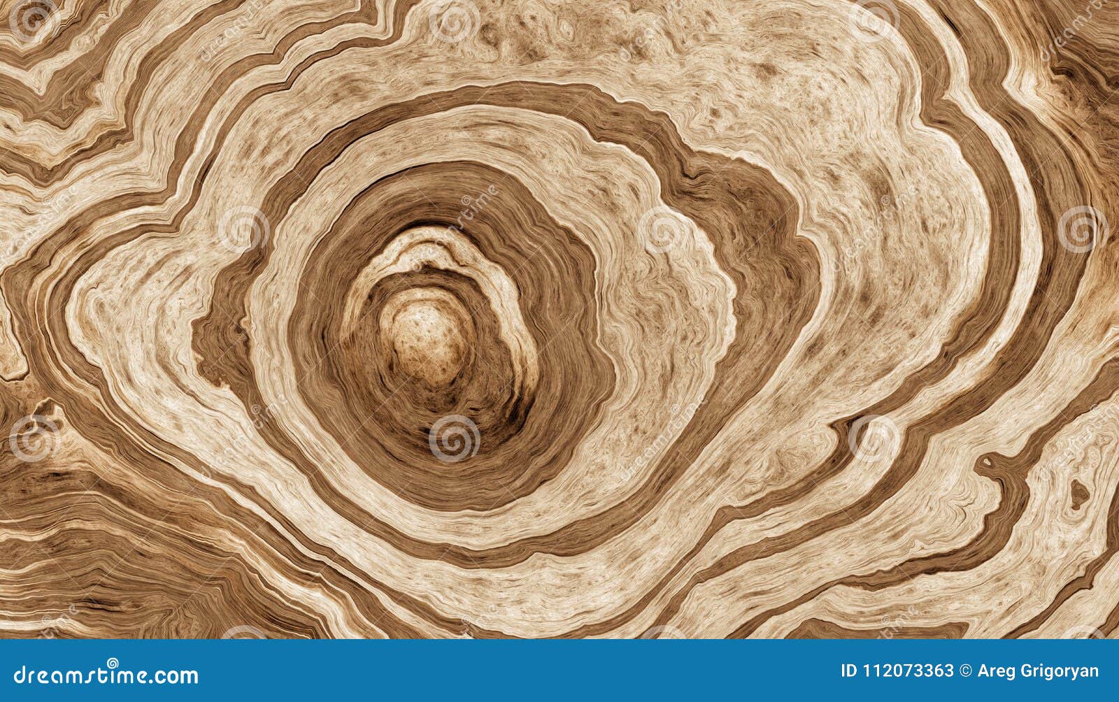 Tree Roots Colored Background Stock Illustration - Illustration of ...