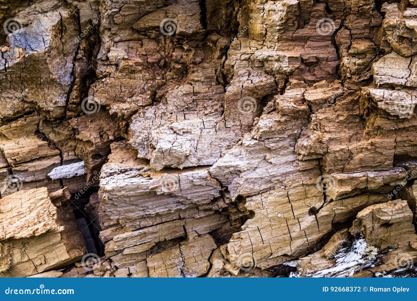 Texture of a Rotten Old Tree Torn Bark Stock Photo - Image of orange ...