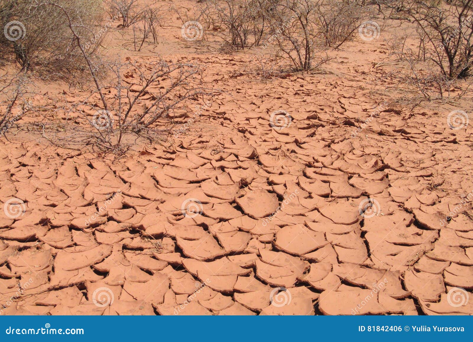 Texture Rouge De Sol Sec De Désert Photo stock - Image du indigène ...