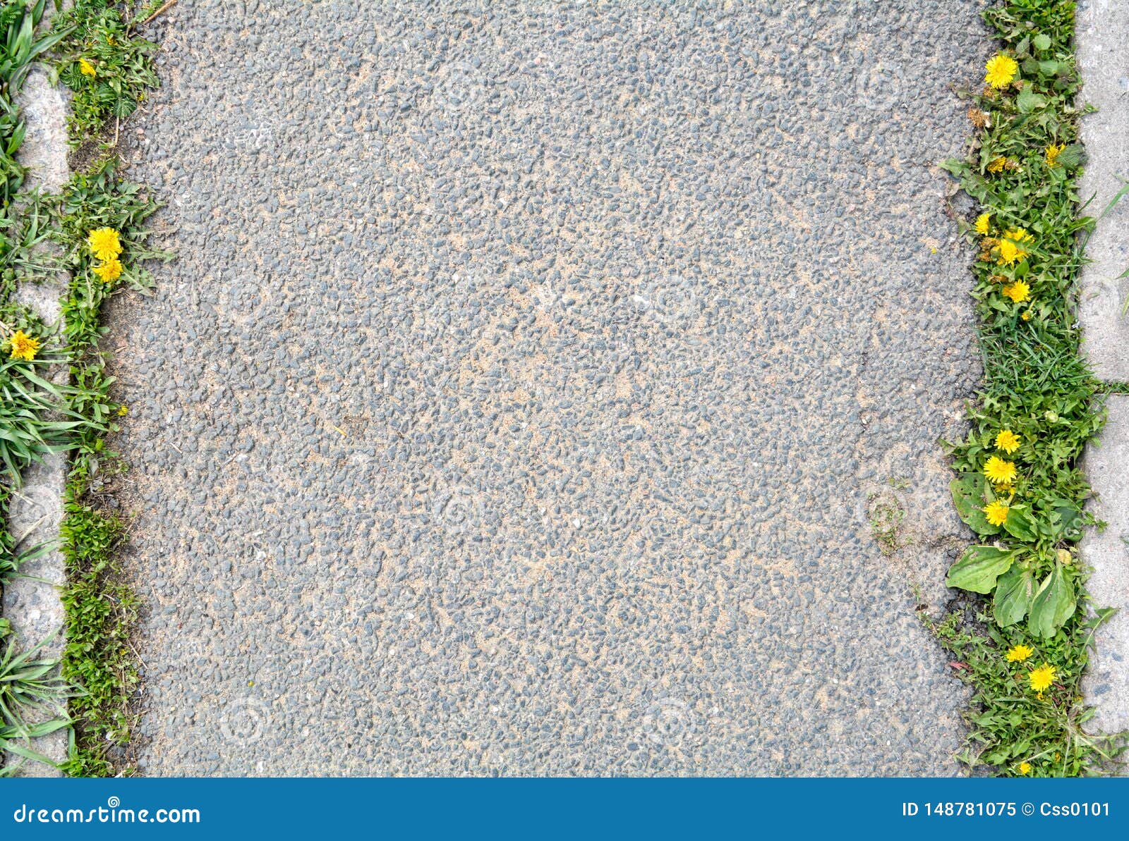 Texture of Rough Asphalt Road with Grass and Flowers of Dandelion at ...