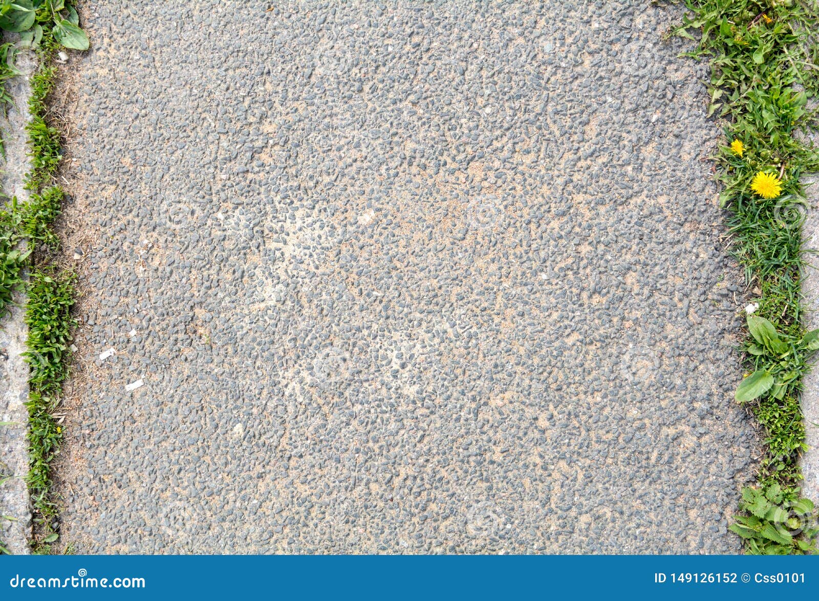 Texture of Rough Asphalt Road with Grass and Flowers of Dandelion at ...