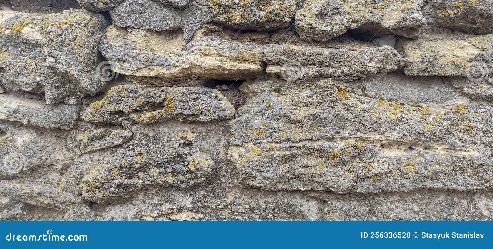 Texture of Rough Natural Stone Close-up Stock Photo - Image of backdrop, fragment: 256336520