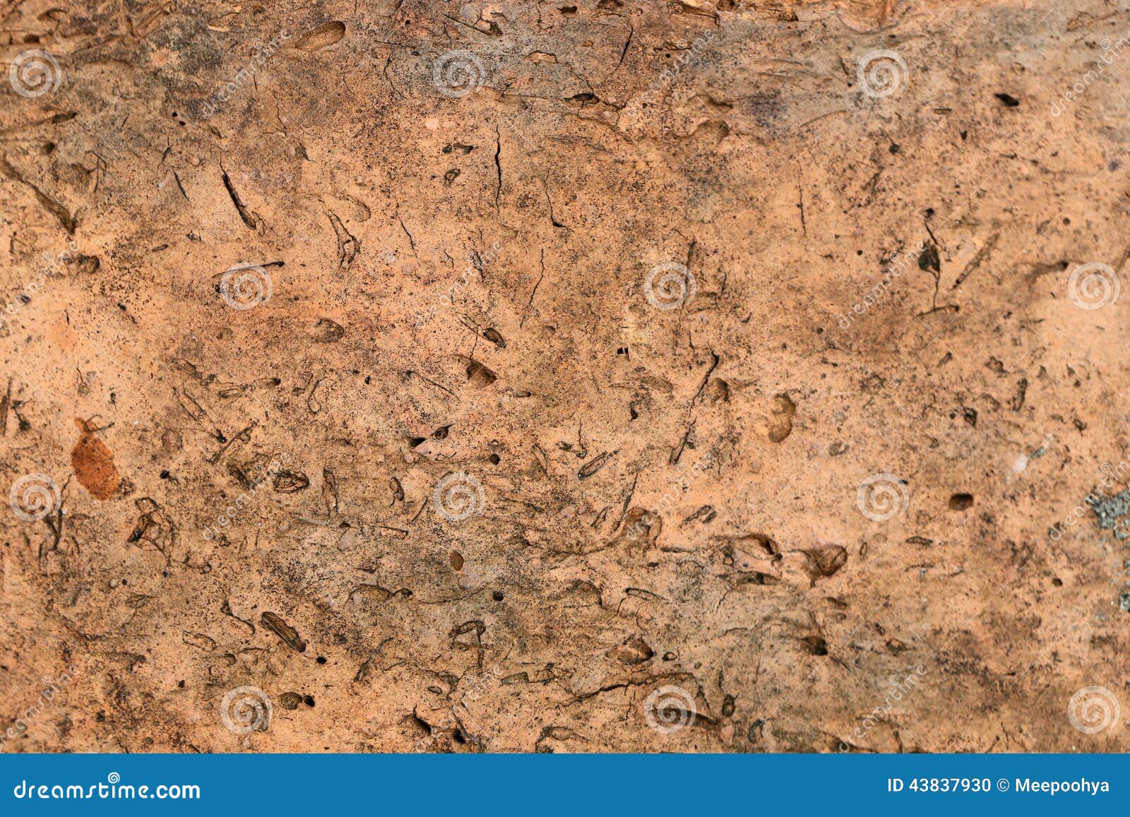 Texture Rugged of the Pavement. Stock Photo - Image of uneven, abstract ...