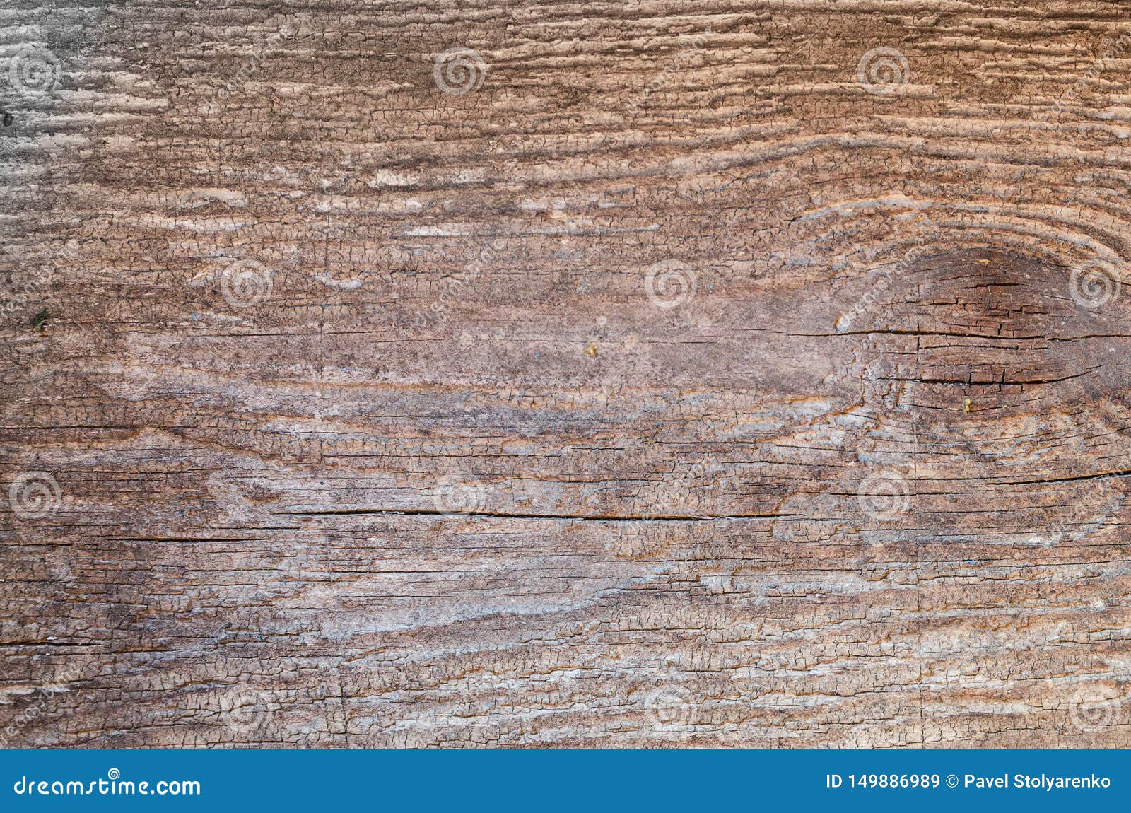 Texture of rustic old wood stock image. Image of brown - 149886989