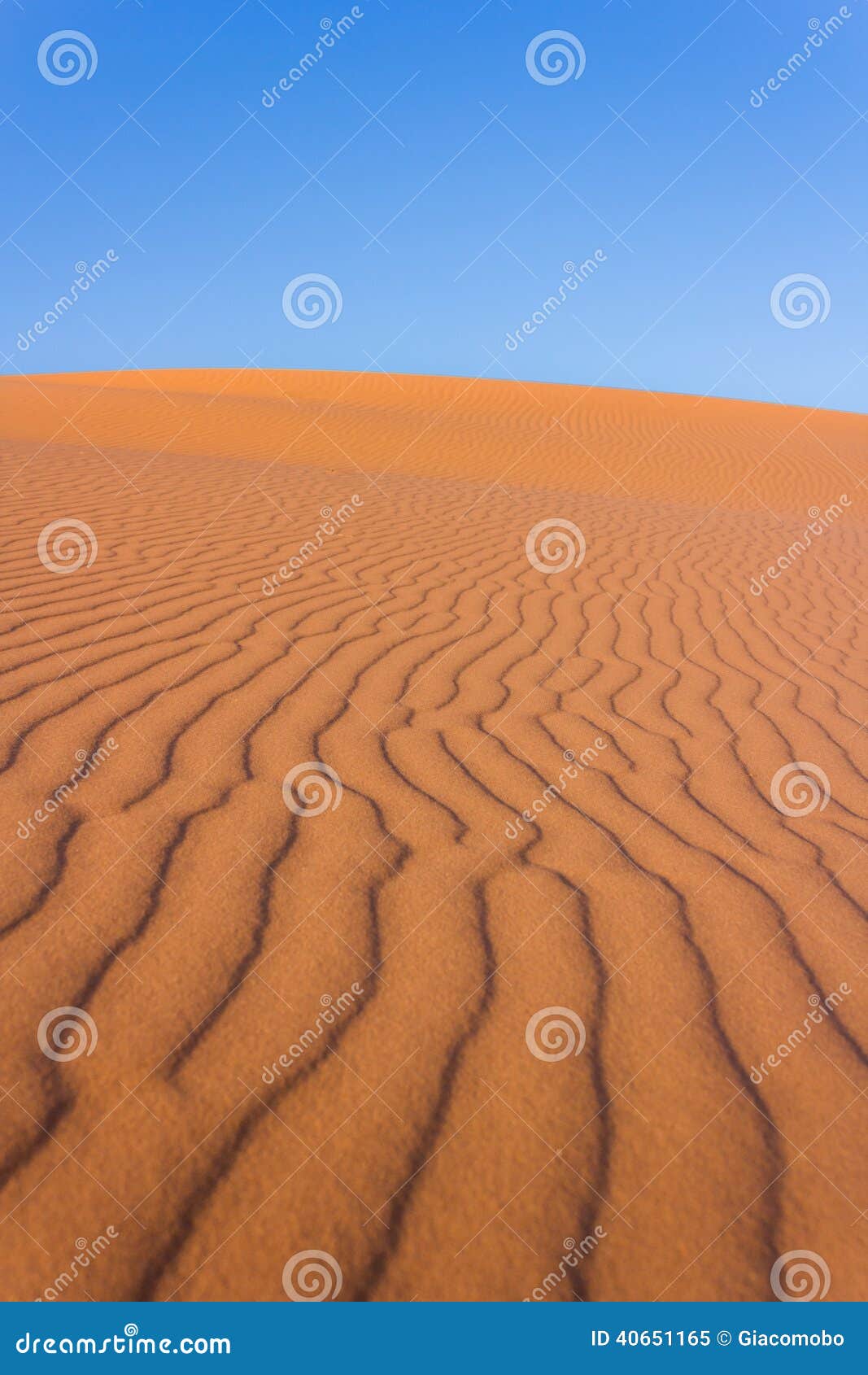 Texture of the Sahara stock image. Image of berber, morocco - 40651165