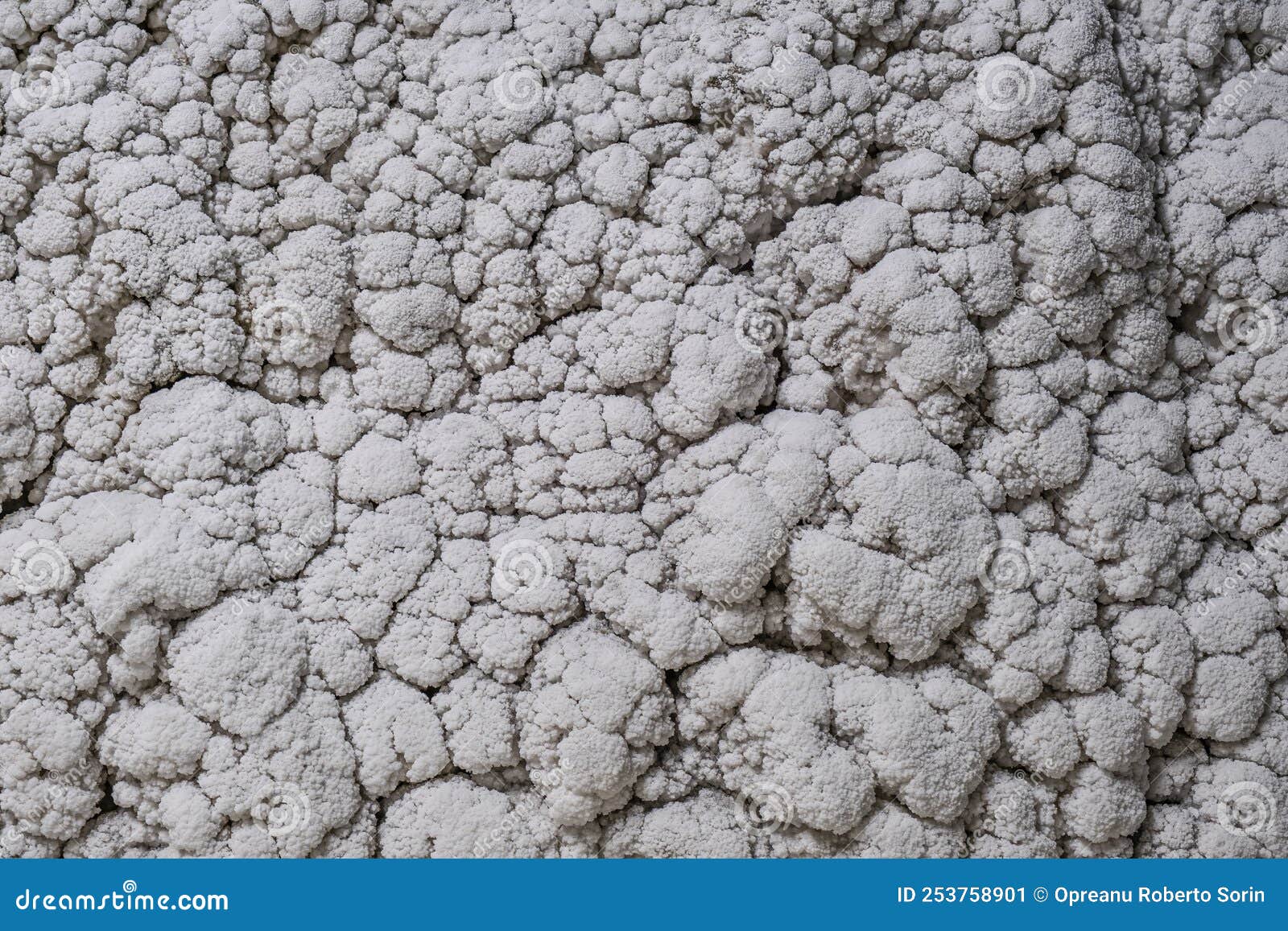 The Texture of the Salt. Salt Wall Stock Image - Image of hard, nature ...