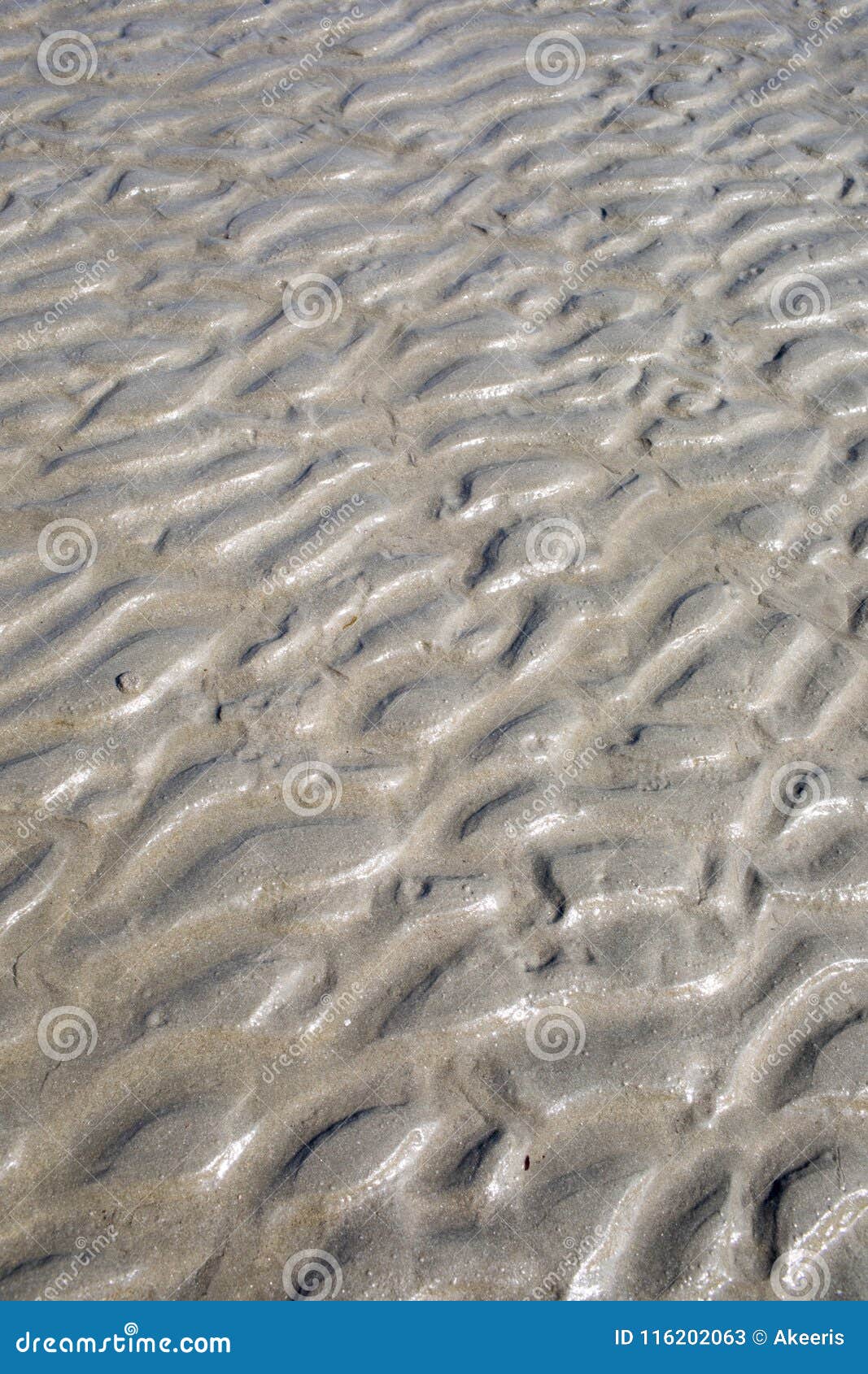 Texture of Sand Beach Showing Wave Pattern and Reef Rock. Stock Image ...