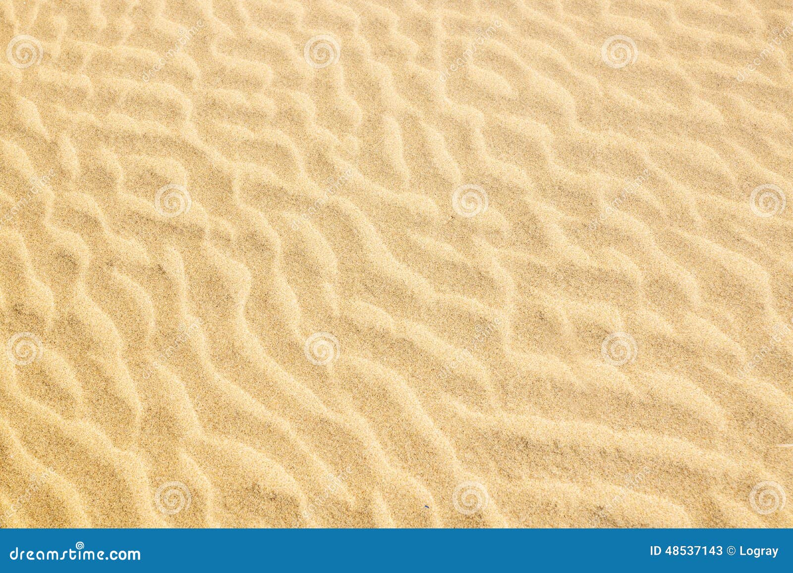 The Texture of the Sand Dunes. Stock Image - Image of golden, dune ...