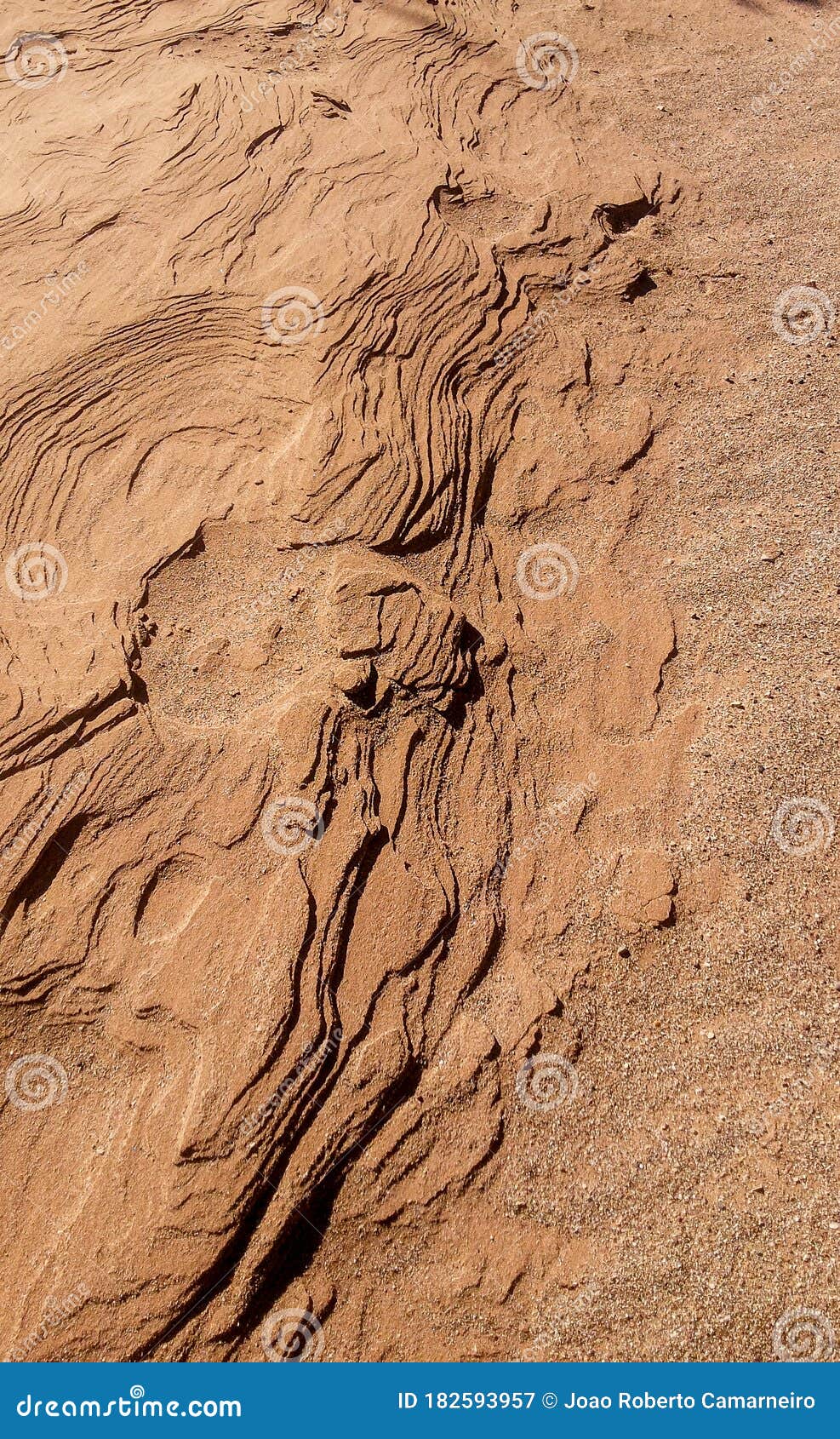 Texture of the Sand in Sahara Desert Stock Image - Image of surreal ...