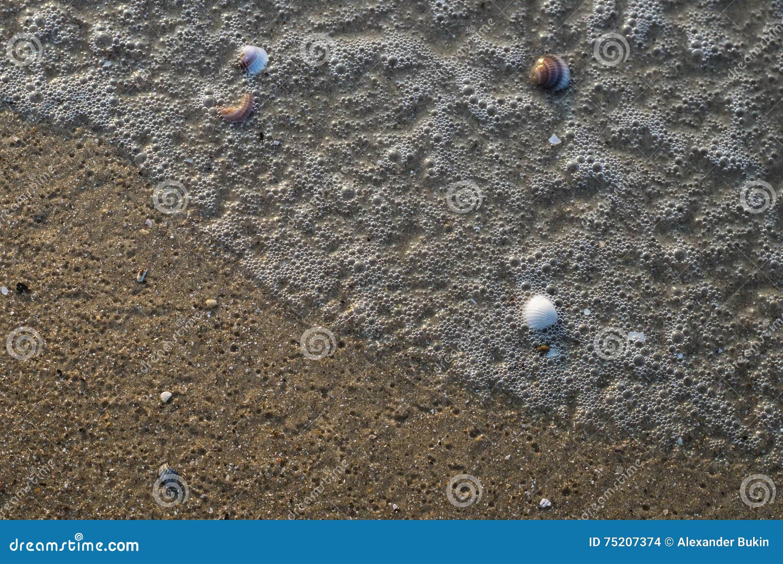 Absorbability Stock Photos - Free & Royalty-Free Stock Photos from ...