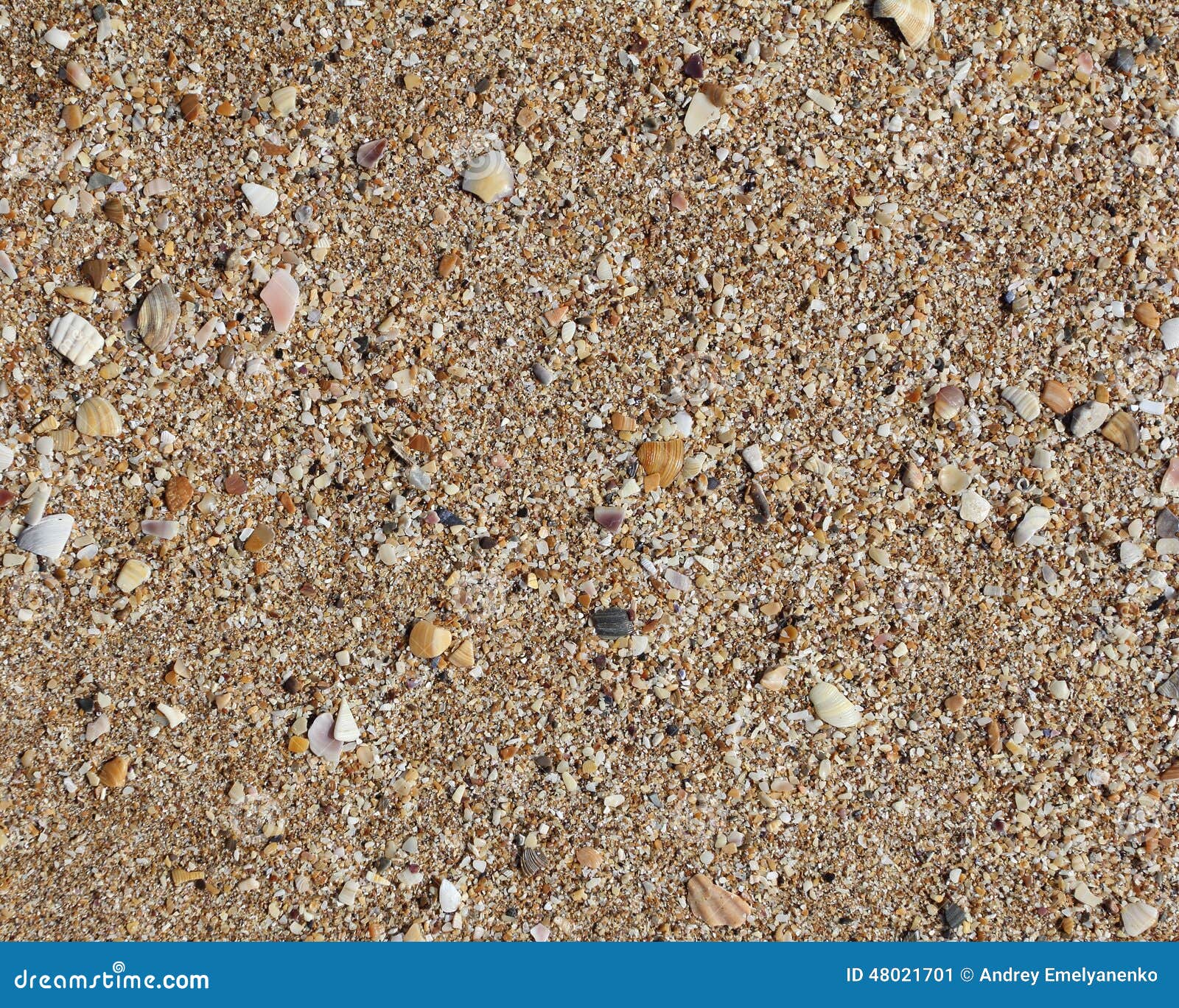 Texture Sand with Seashells. Stock Image - Image of coast, brown: 48021701