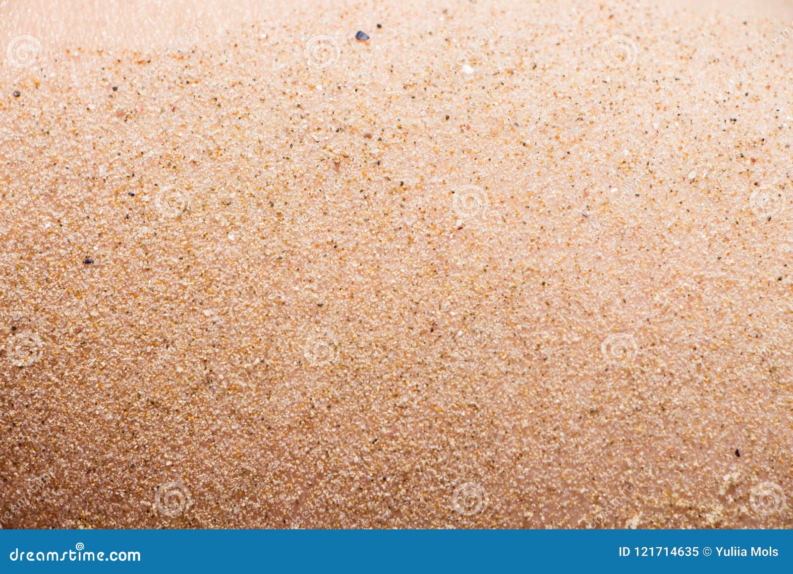 The sand on the skin stock image. Image of rough, surface - 121714635