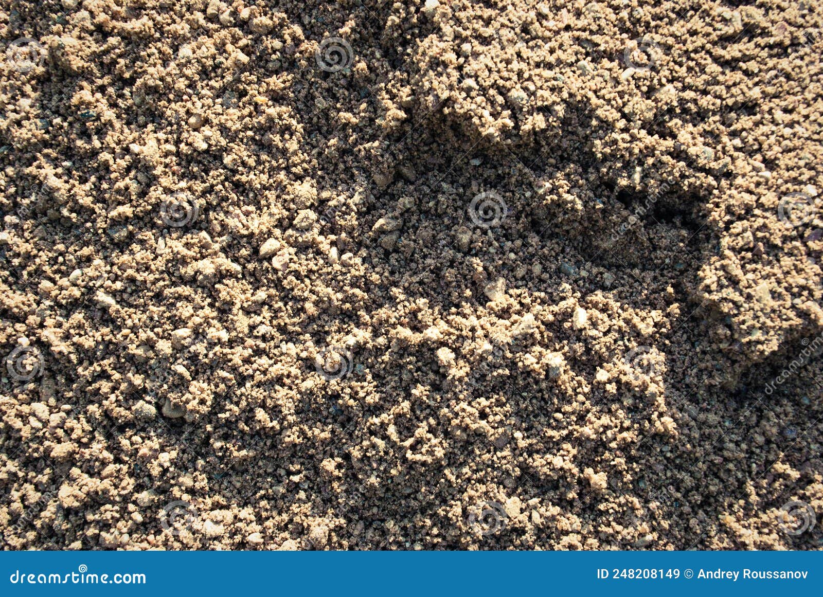 The texture of the sand. stock image. Image of desert - 248208149