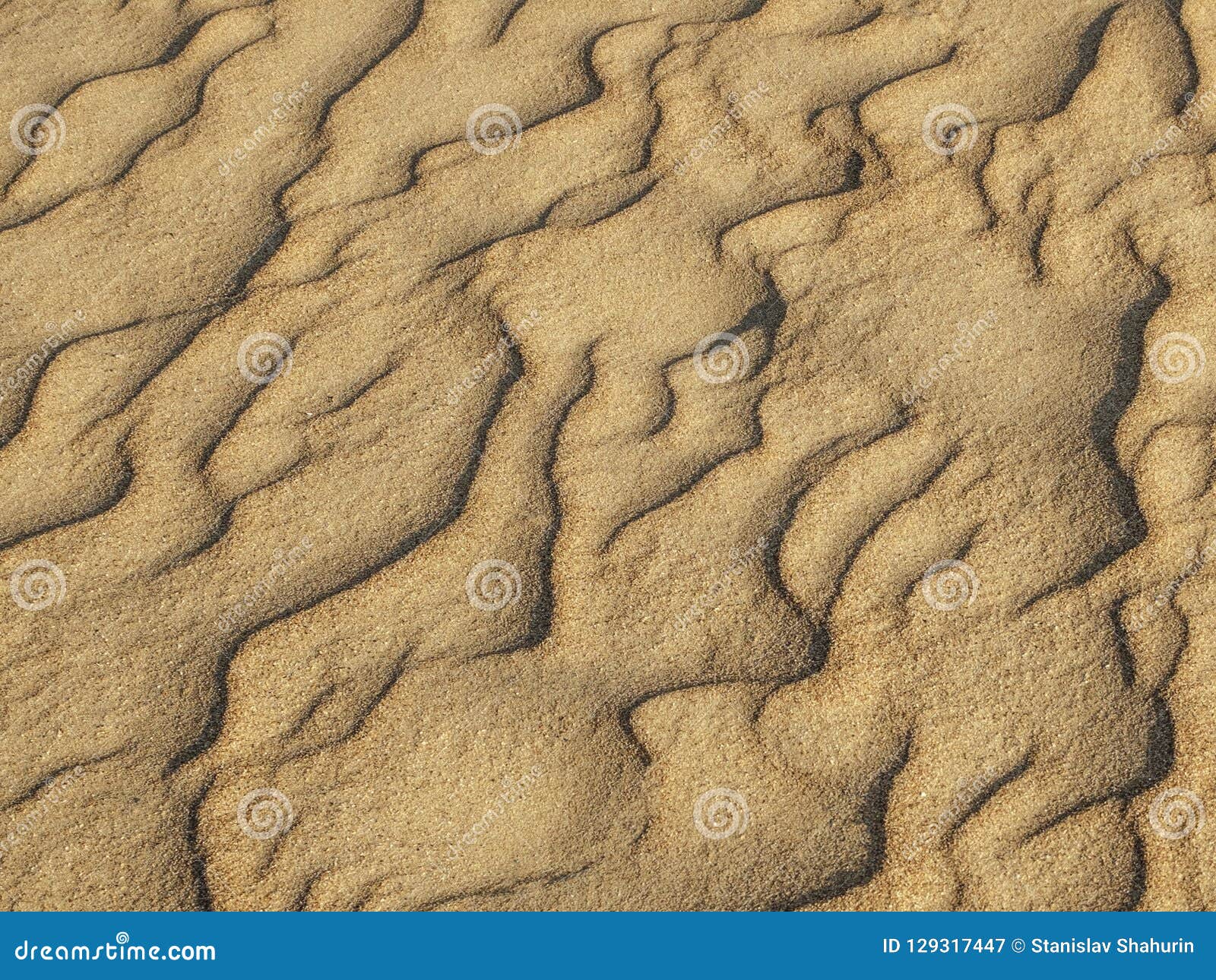 Texture of Sand Waves on the Beach or in the Desert. the Ripples of the ...