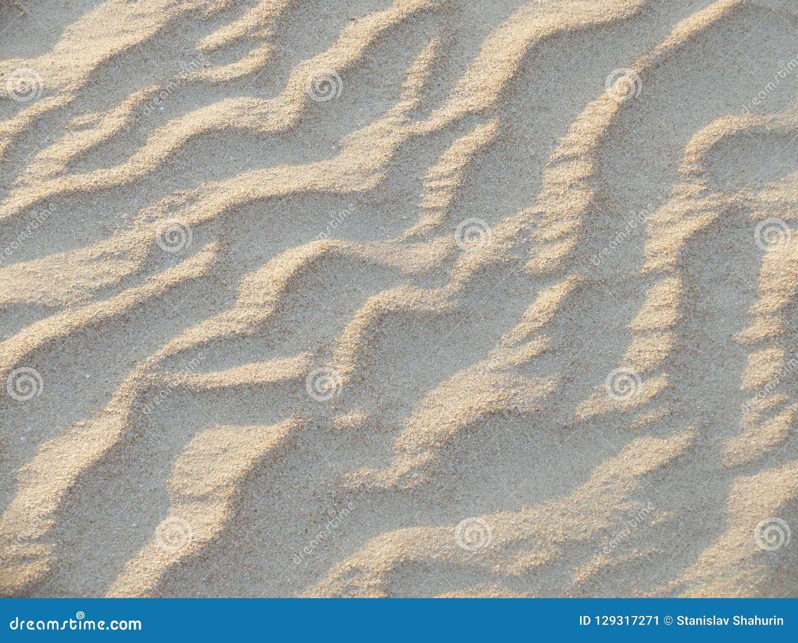 Texture of Sand Waves on the Beach or in the Desert. the Ripples of the ...