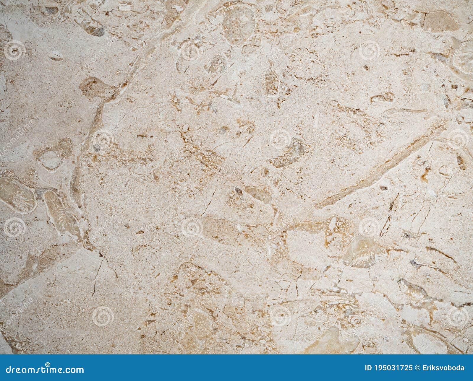 The Texture of Sandstone. Top-down Close-up View Stock Illustration ...