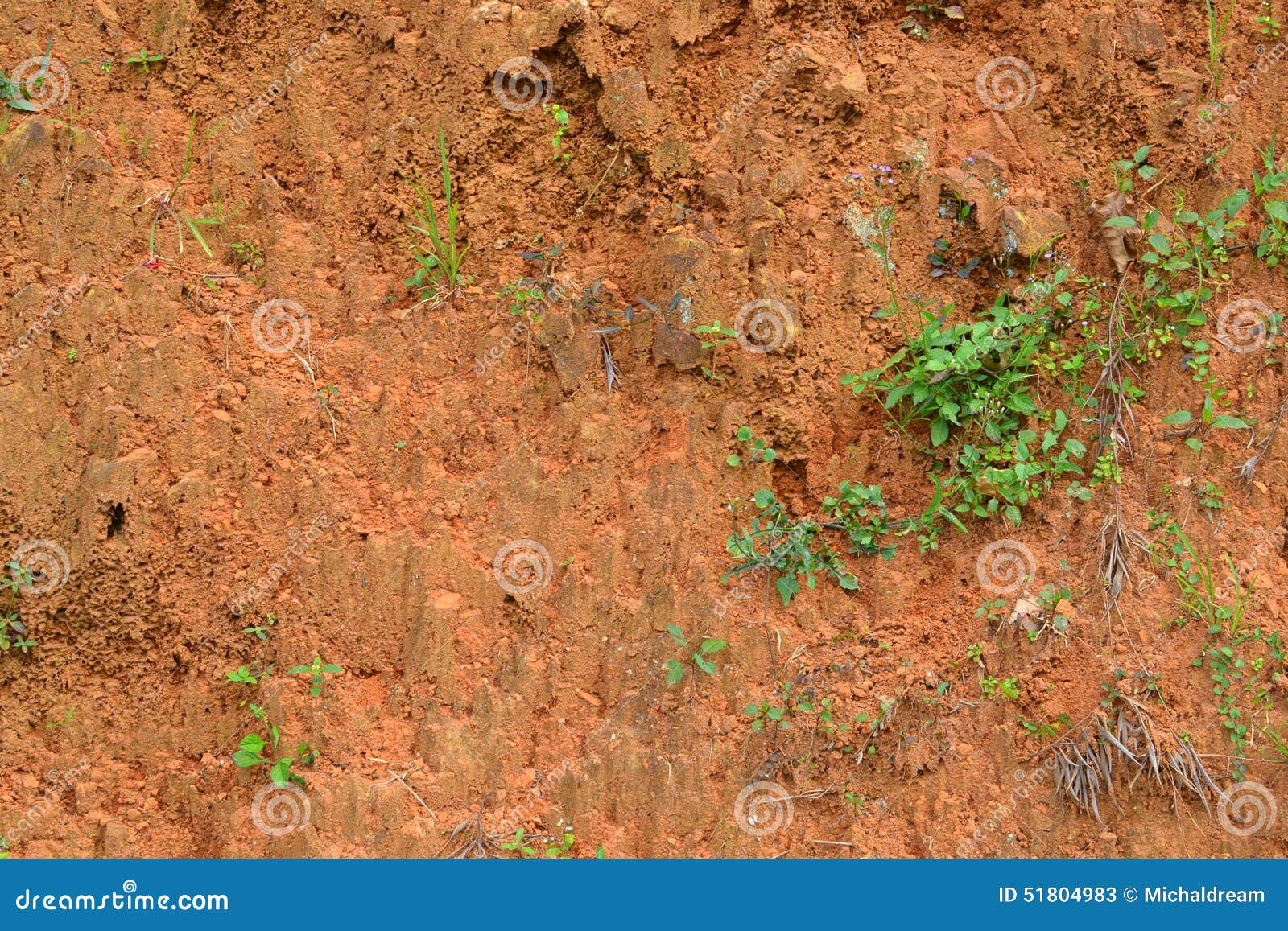 Texture 3686 - Sandy Ground Stock Image - Image of dust, desert: 51804983