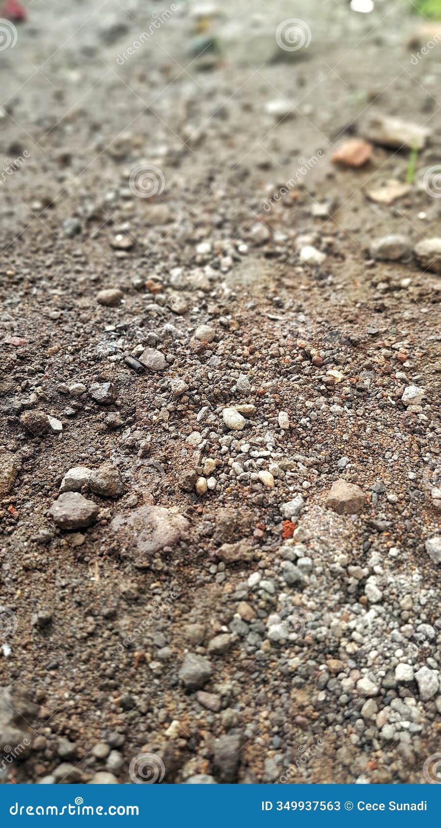 Sandy Soil Texture , Light Yellow Background. Stock Image ...
