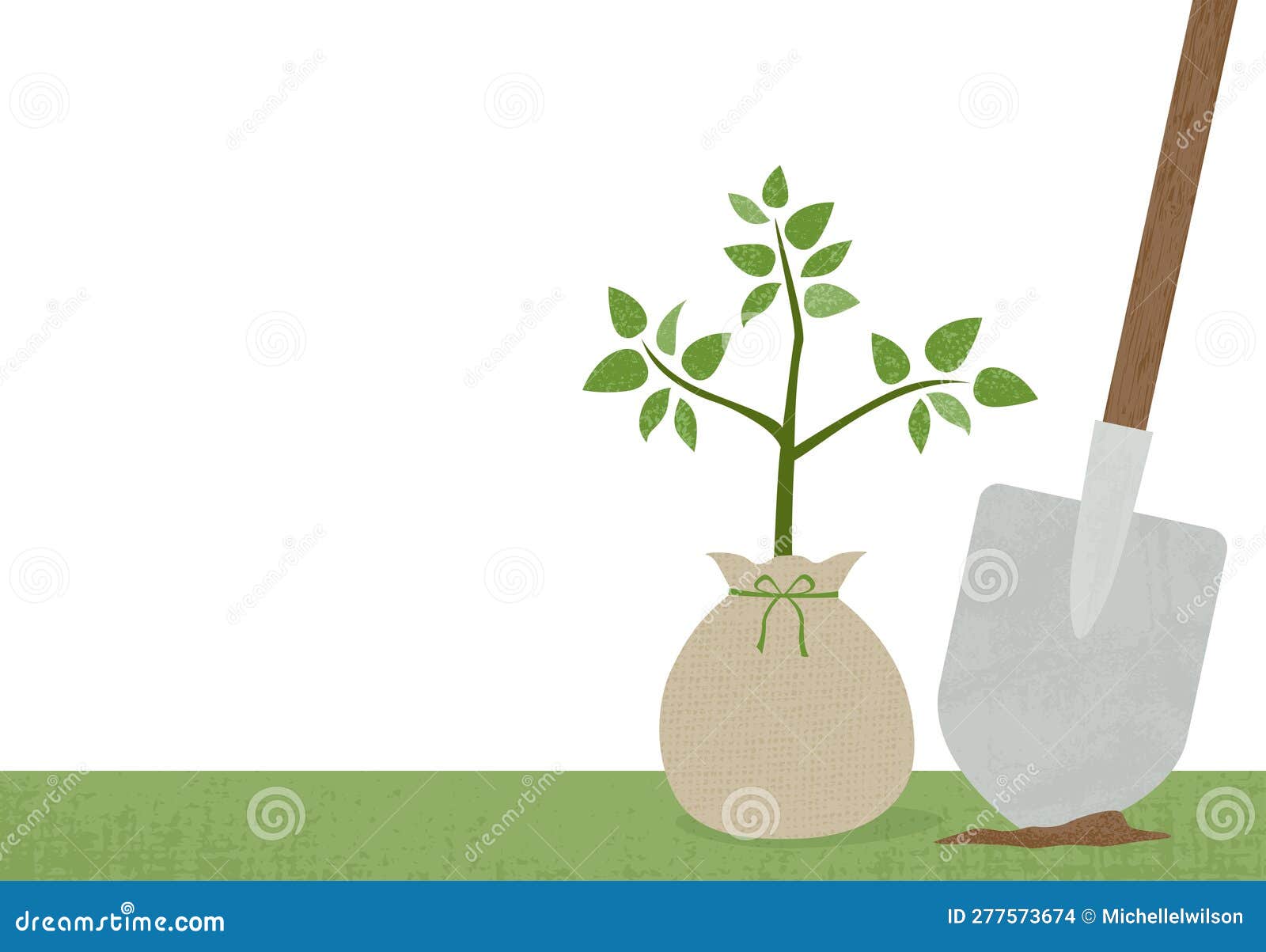 Tree Sapling With Green Leaves And Root System Cartoon Vector ...