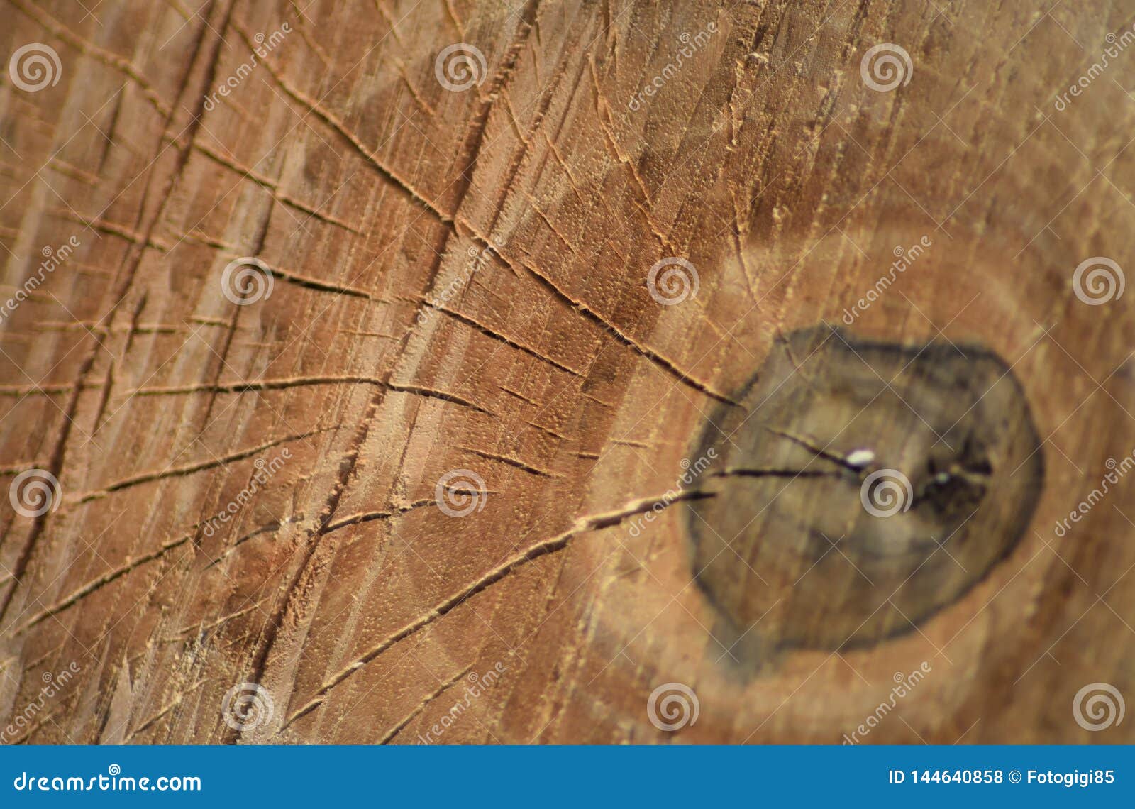 The Sawn Tree and Its Year Rings Stock Photo - Image of cracked ...
