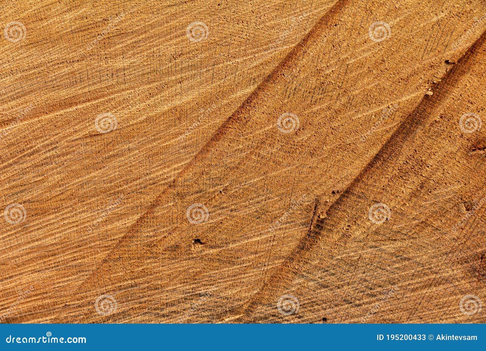 Sawn wood texture stock image. Image of pine, crack - 195200433