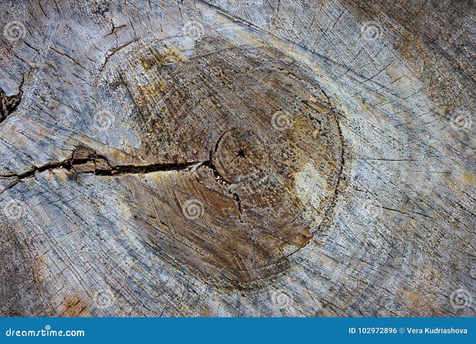 The Texture of Sawn Timber. Stock Photo - Image of cranny, shear: 102972896