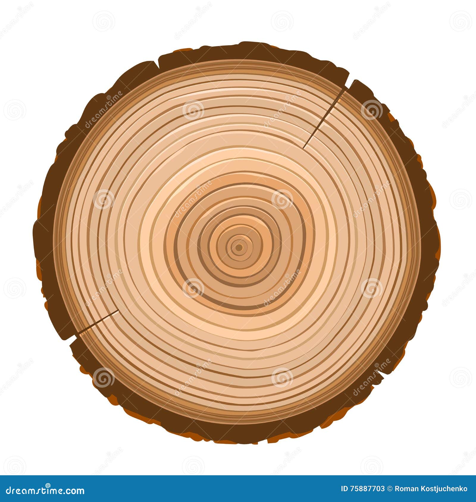 Dark Sawn Log Vector Illustration | CartoonDealer.com #141077234