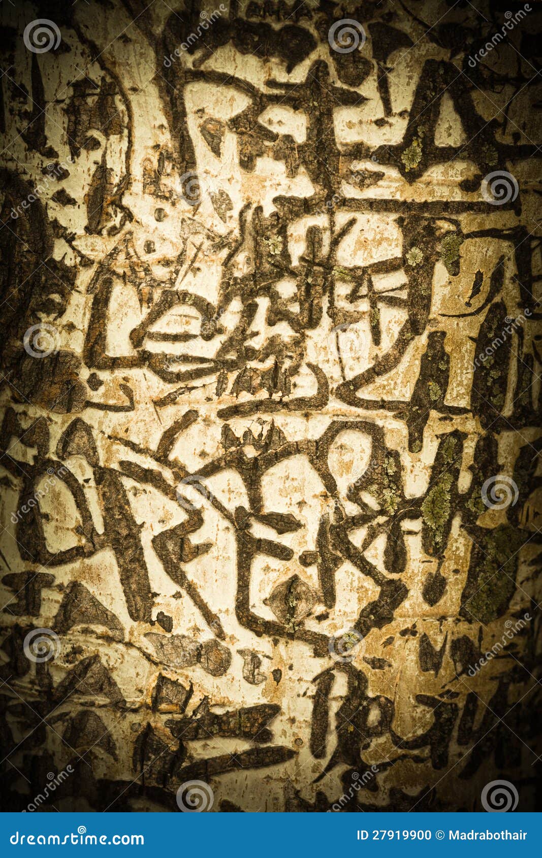Texture from Scribblings in Tree Bark Stock Photo - Image of vignette ...