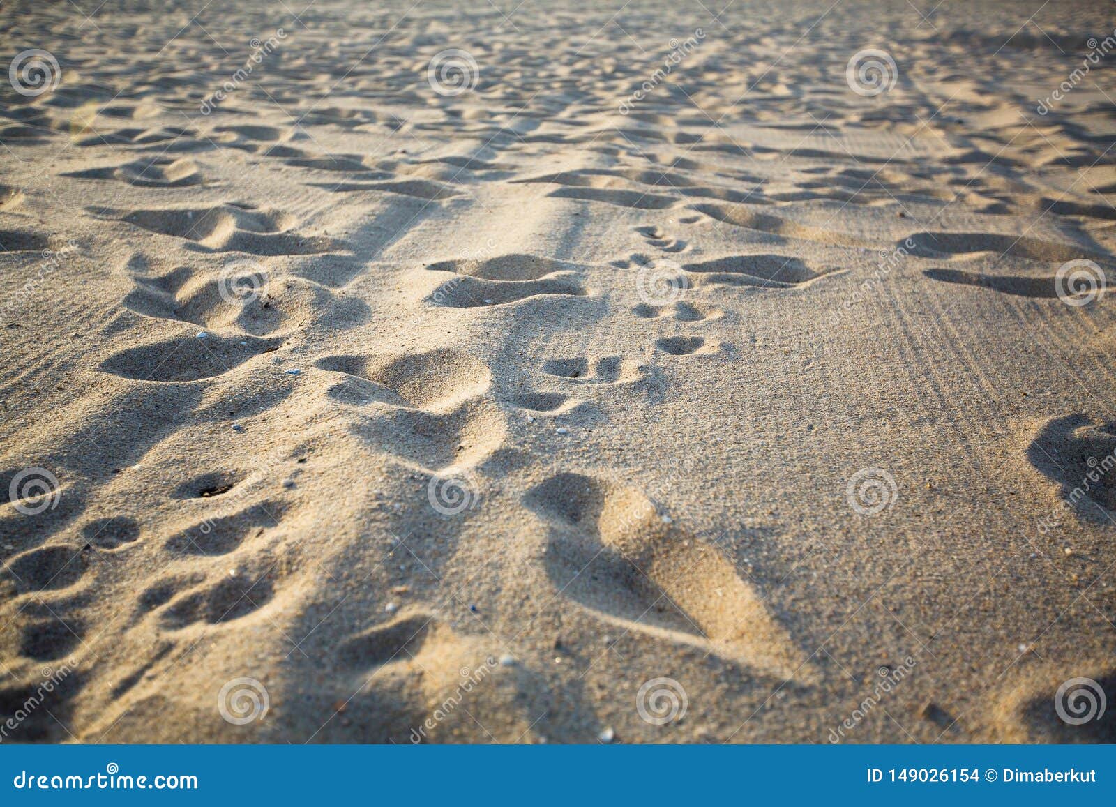 Texture of the Sea Beach Light Crumbly Sand. Island. Stock Photo ...