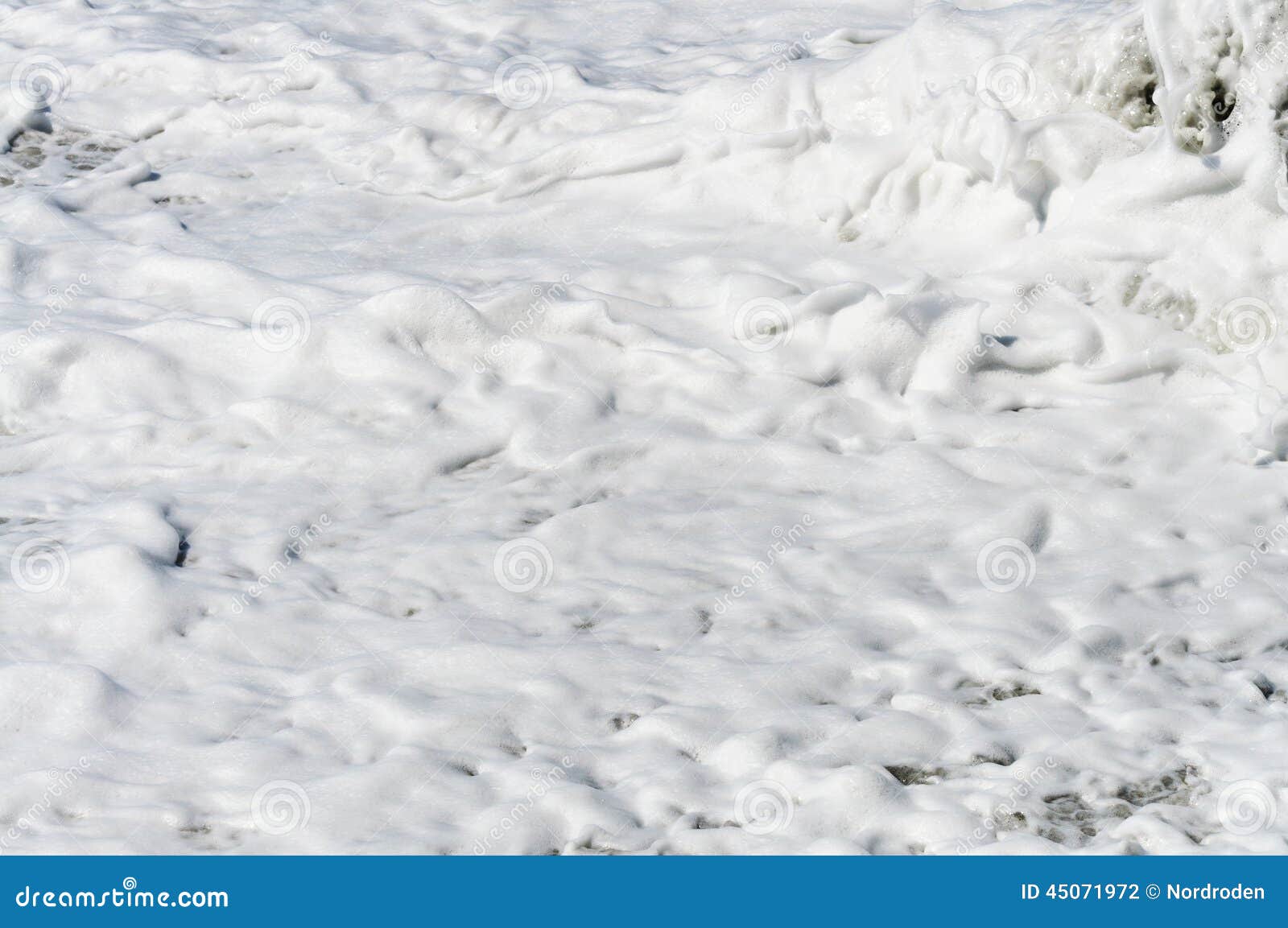 Texture of sea foam. stock photo. Image of ocean, texture - 45071972