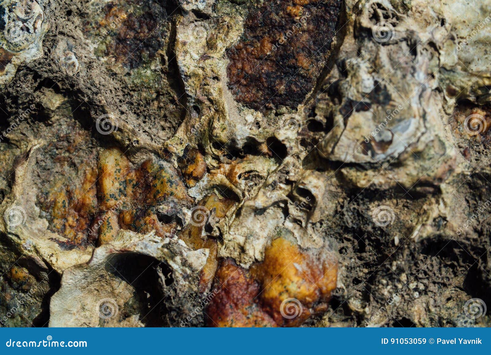 Texture of Sea Stone with Rust. Stock Image - Image of abstract ...