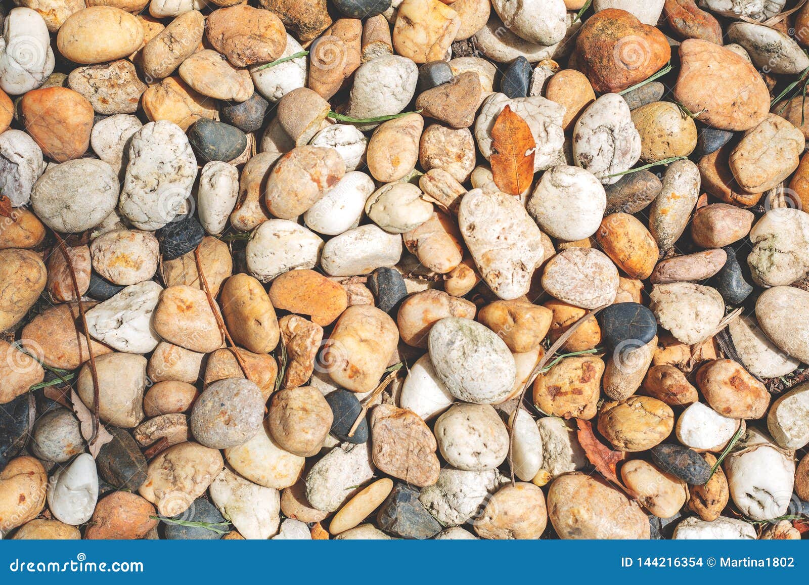 Texture of sea stones stock photo. Image of garden, stones - 144216354