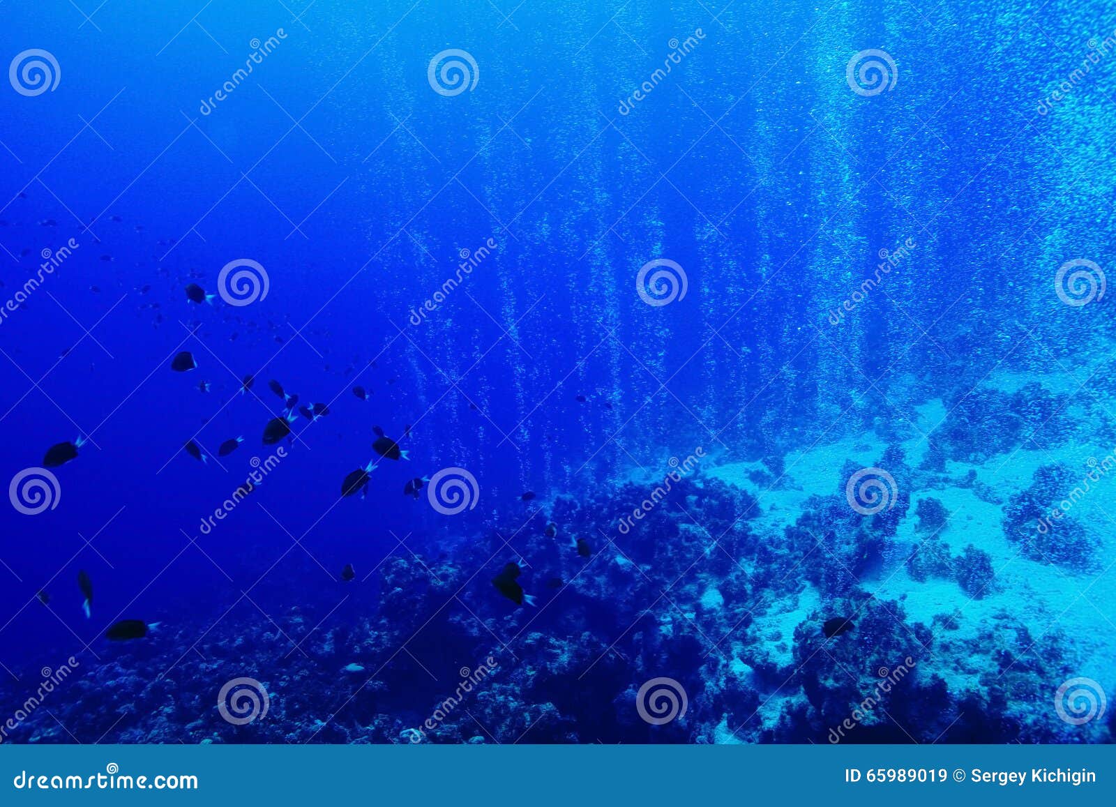 Texture Sea Water Underwater Stock Image - Image of diver, coral: 65989019