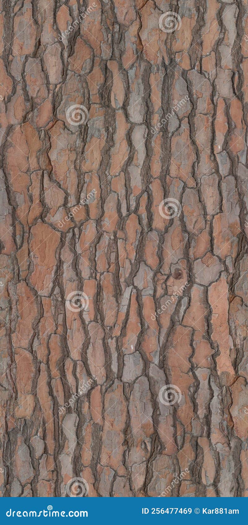 Texture Seamless Bark Wood, High Quality Stock Image - Image of macro ...