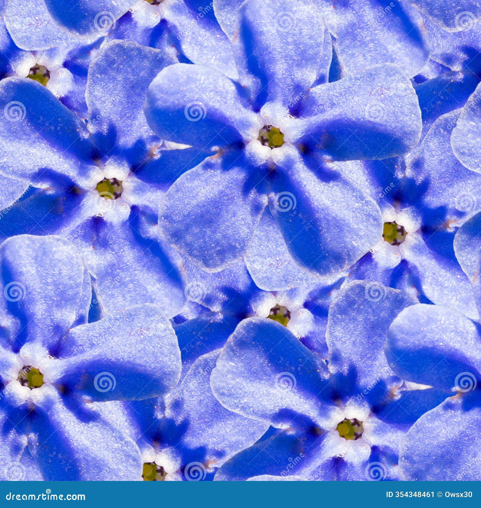 Texture of Seamless Floral Pattern. Blue Forget-me-nots. Decorative Design Elements Stock Image ...