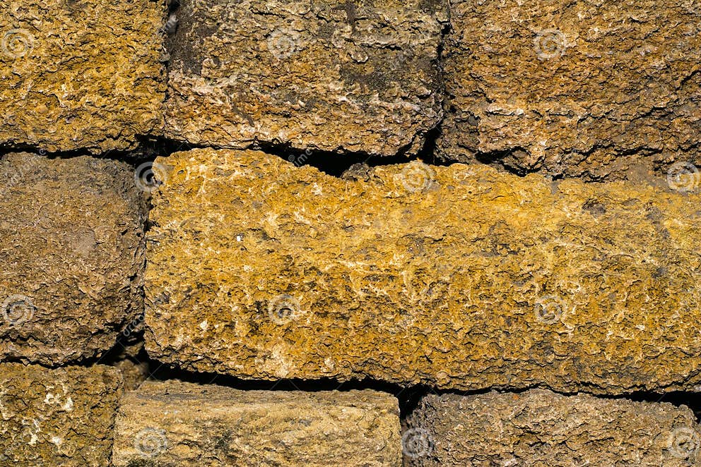 Texture of seashell bricks stock image. Image of dirty - 94917069