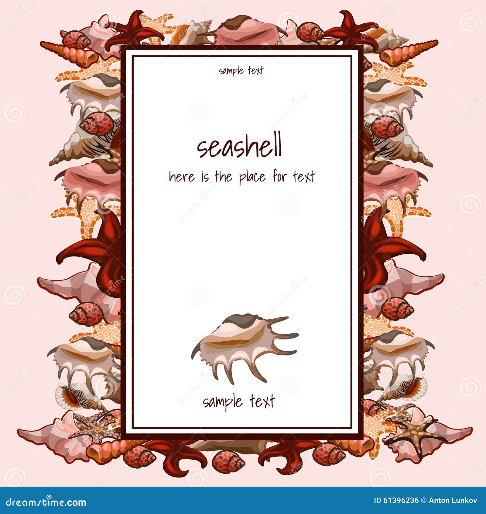 Set Of Seashell And Coral Sea Beach Marine Snail, Clam And Conch ...