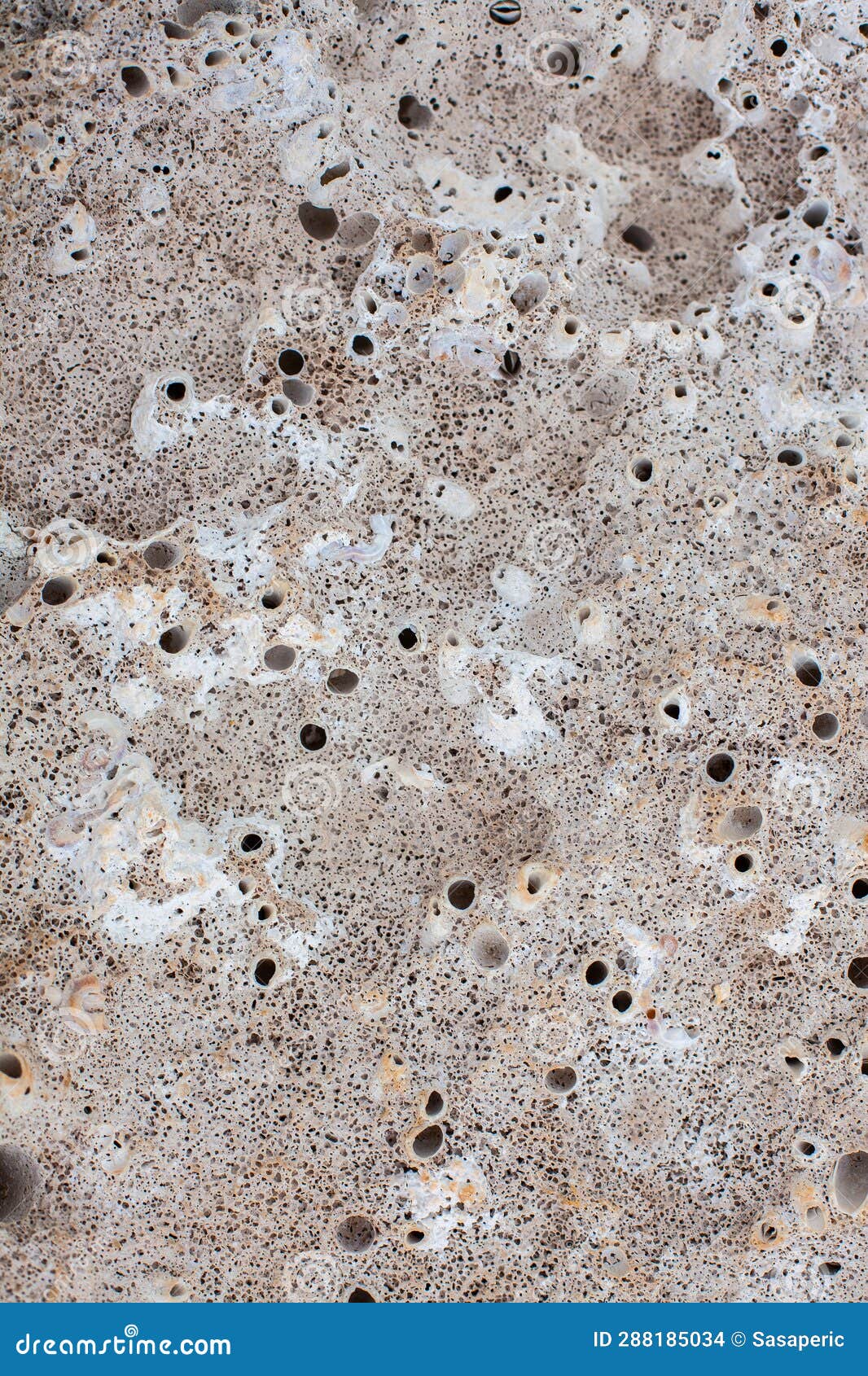 Closeup Texture of Seaside Stone Stock Photo - Image of cliff, seaside ...