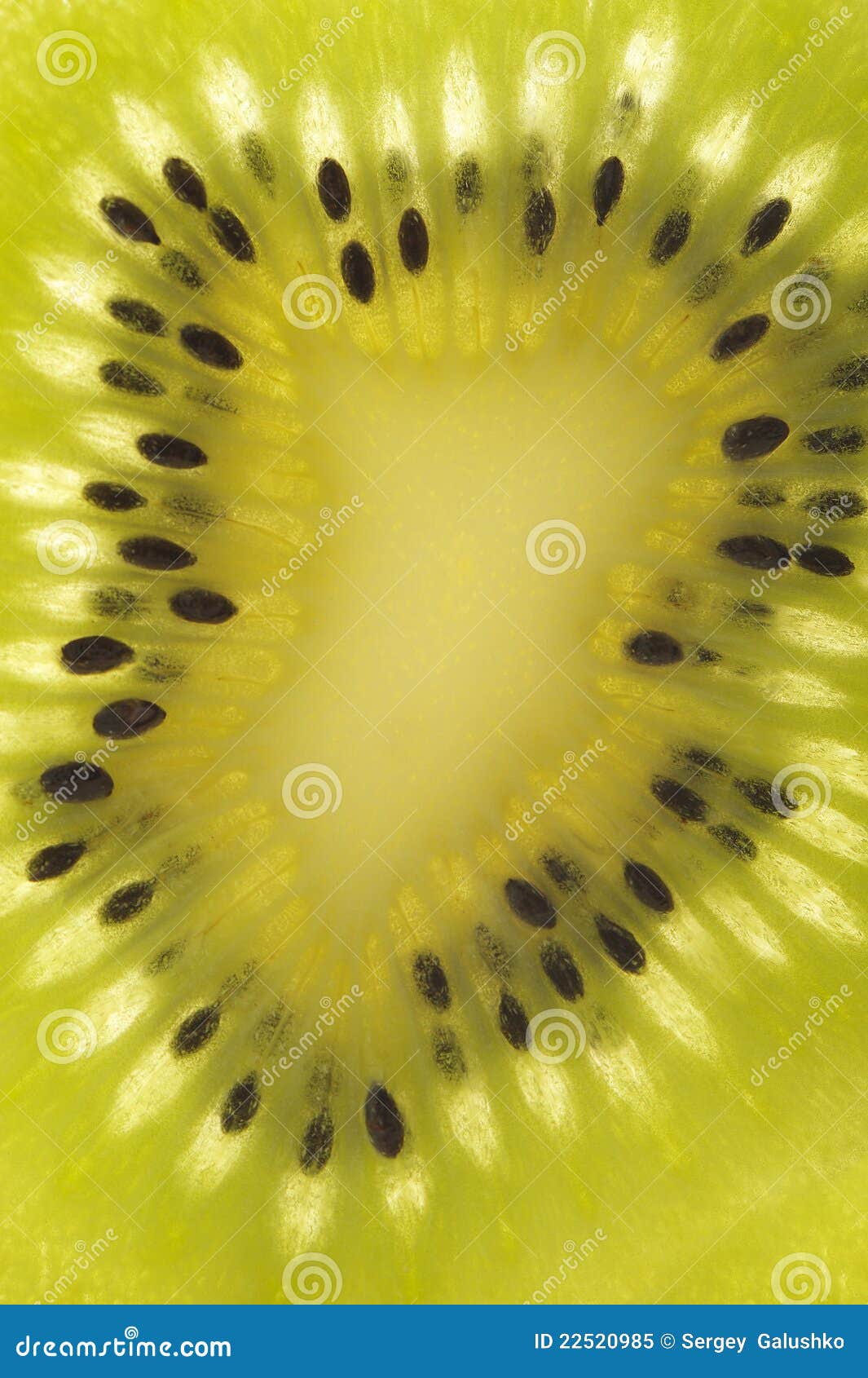 Texture section kiwi fruit stock image. Image of tropical - 22520985