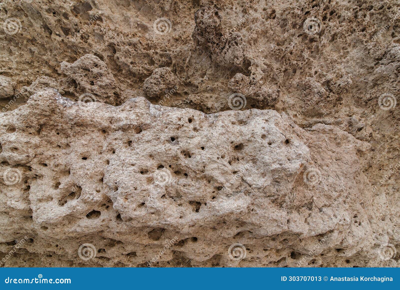 Texture of Sedimentary Limestone Rock with Shells Stock Image - Image ...