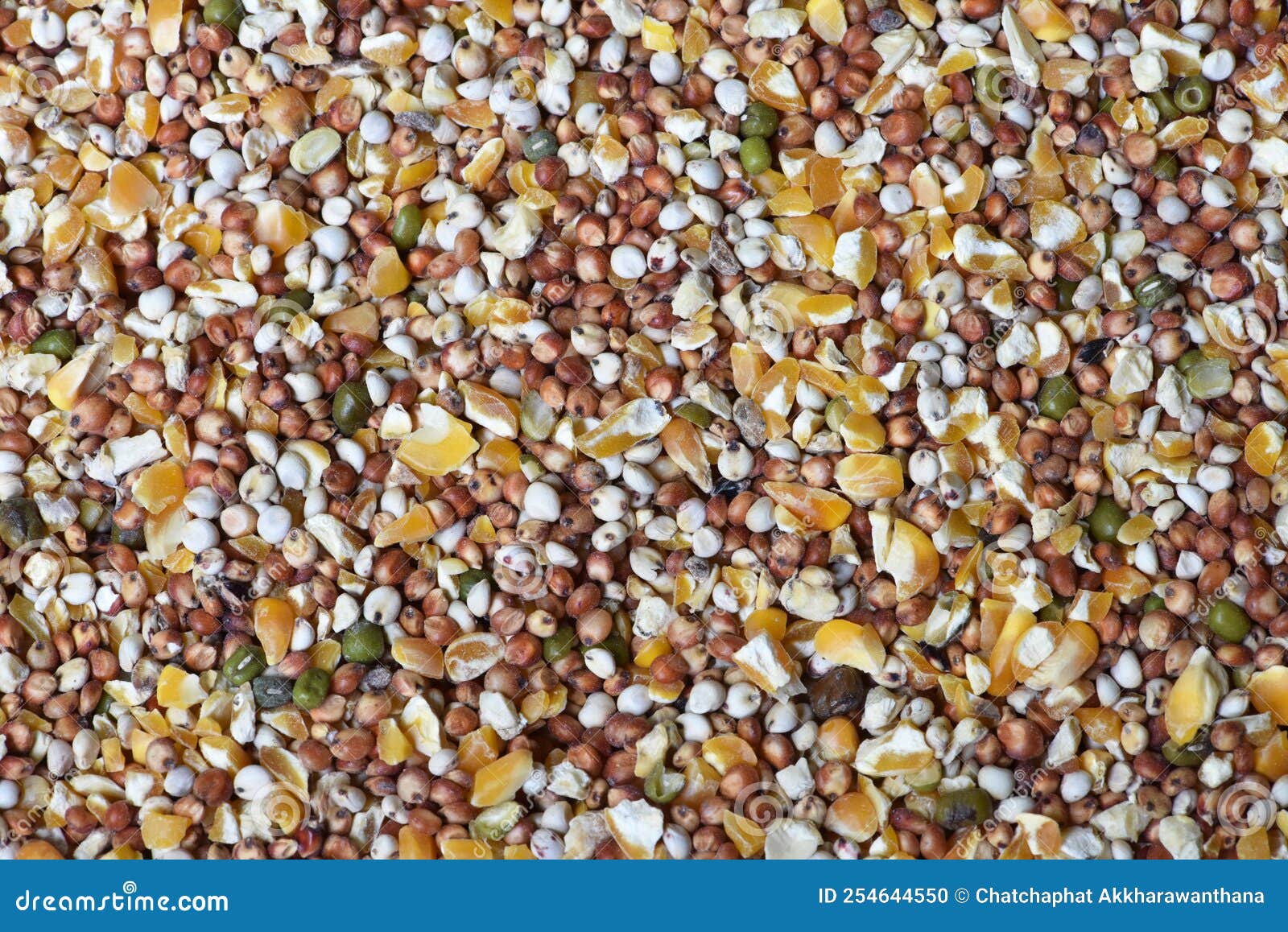 Texture of Seed and Grain Mix . Stock Photo - Image of hull, textured ...