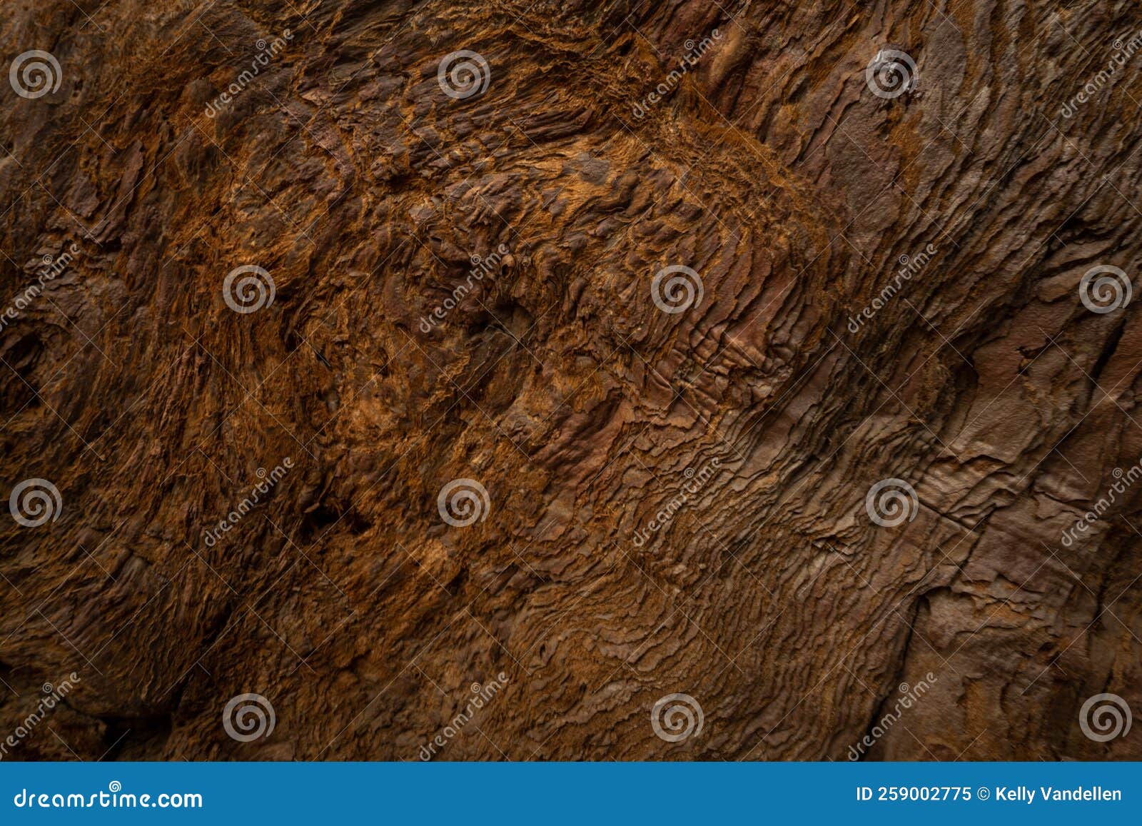 Texture of Sequoia Tree in Yosemite Stock Image - Image of charred ...