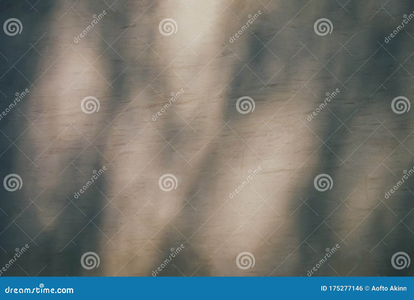 Texture of Shadow on the Wall Stock Photo - Image of concept, garden ...