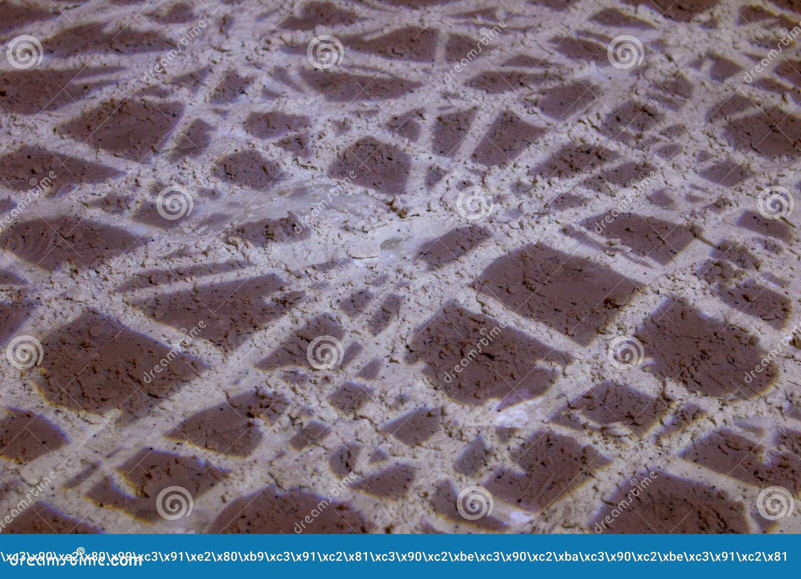 The Texture of the Shadows on the Pavement. Stock Photo - Image of wall ...