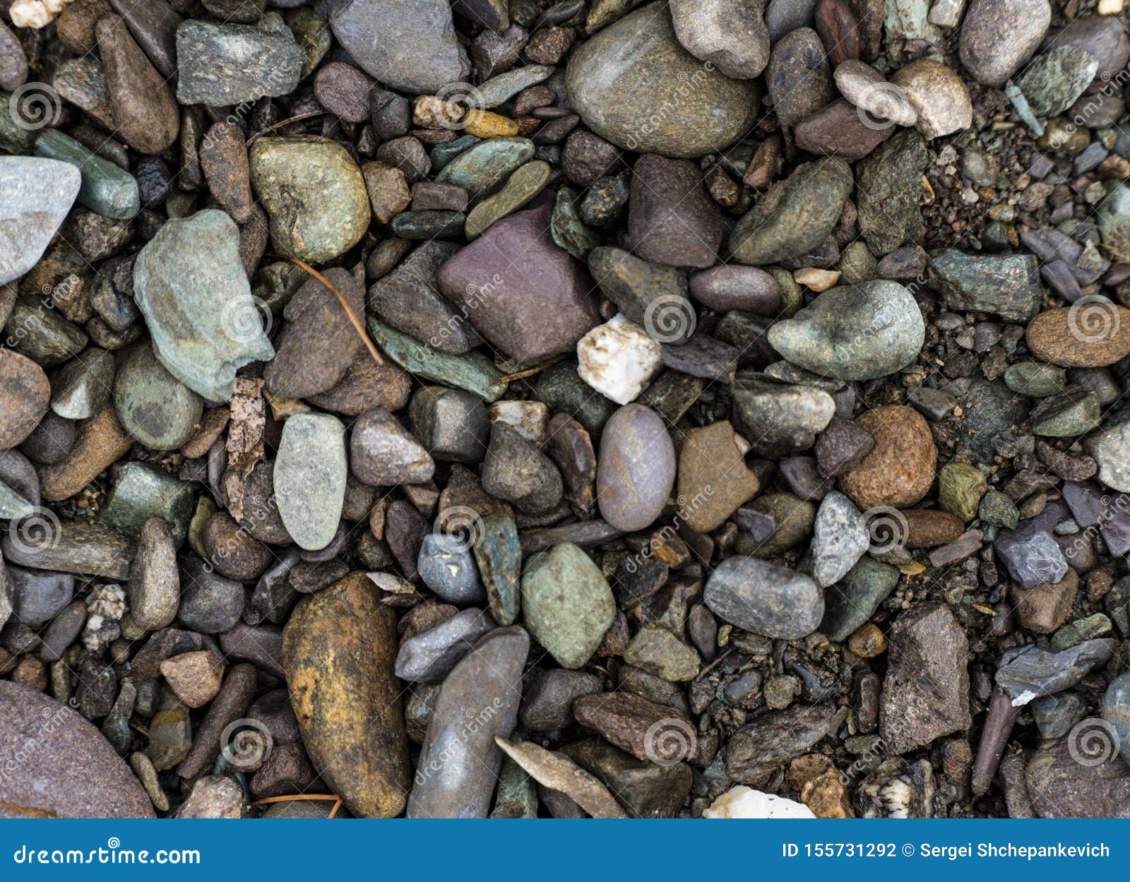 The Texture of a Shallow River Stone Stock Photo - Image of shallow ...