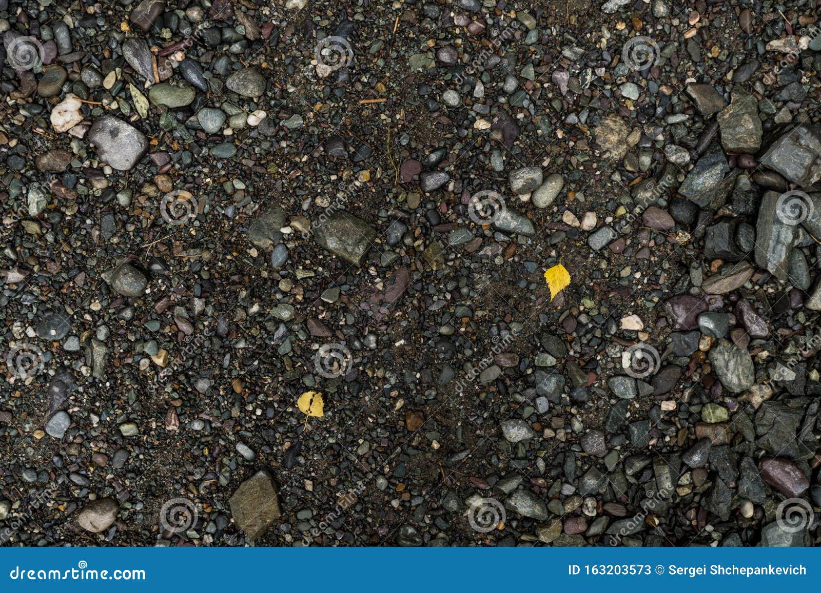 The Texture of a Shallow River Stone Stock Image - Image of river ...